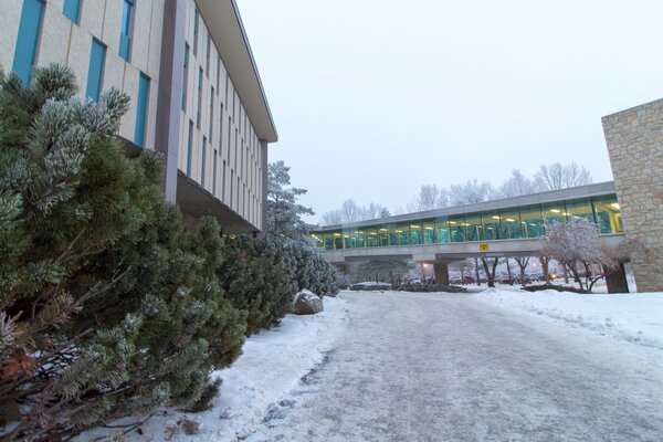 USask professors prepare for innovative, engaging online classes in ...