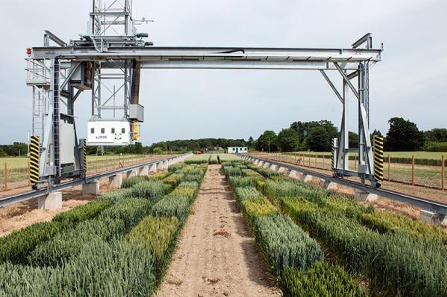 Join the Global Wheat Head Detection Challenge - Department of Computer ...